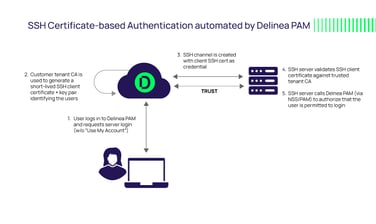 SSH Key Management Best Practices: Beyond SSH Keys