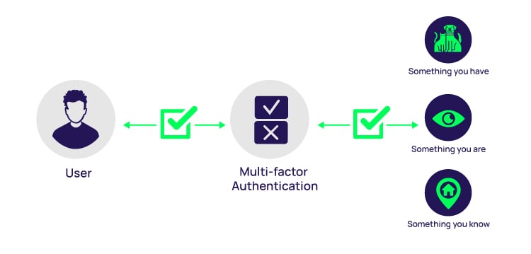 Passwordless Authentication: The Passwordless Experience