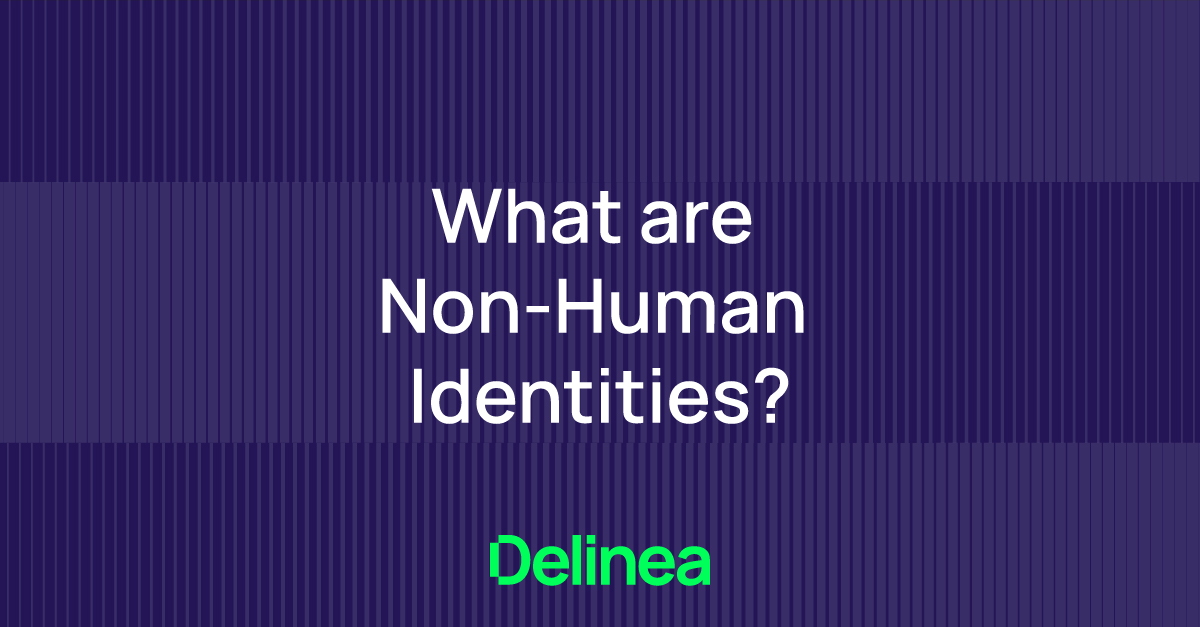 What are Non-Human Identities (NHIs)?