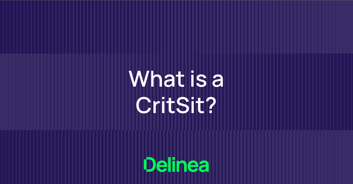 What is a CritSit? | Delinea