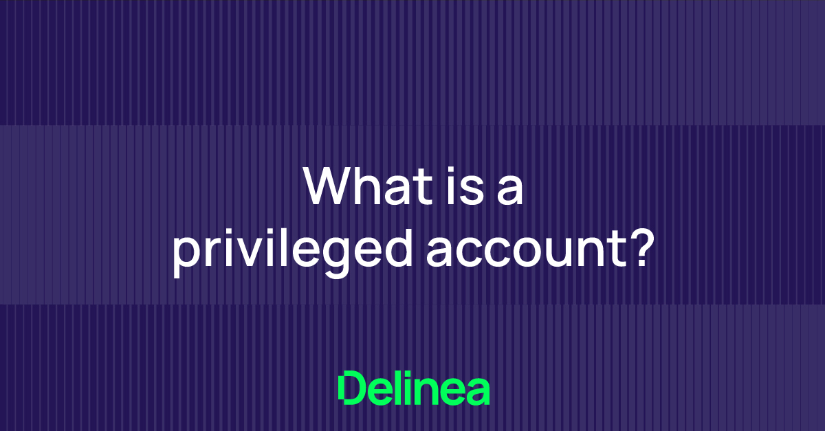 What are Privileged Accounts?