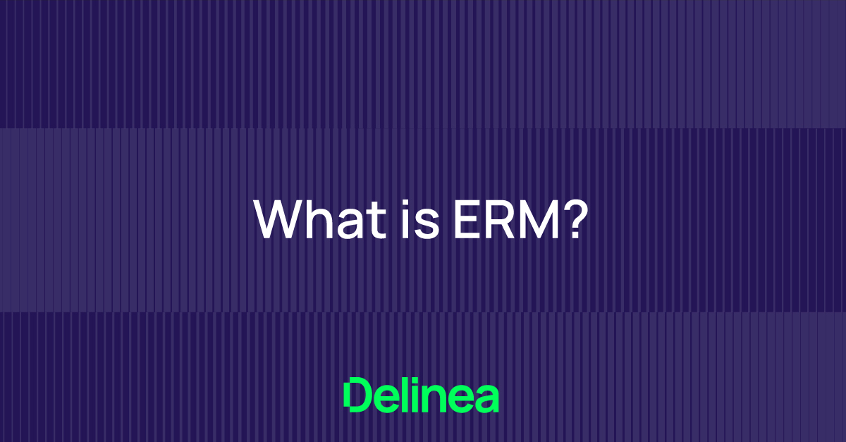 What is Enterprise Risk Management (ERM)? | Example