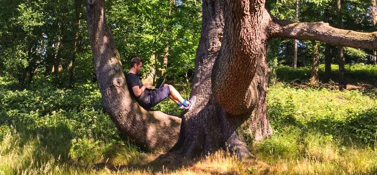 Best practices and cybersecurity tips for working remotely